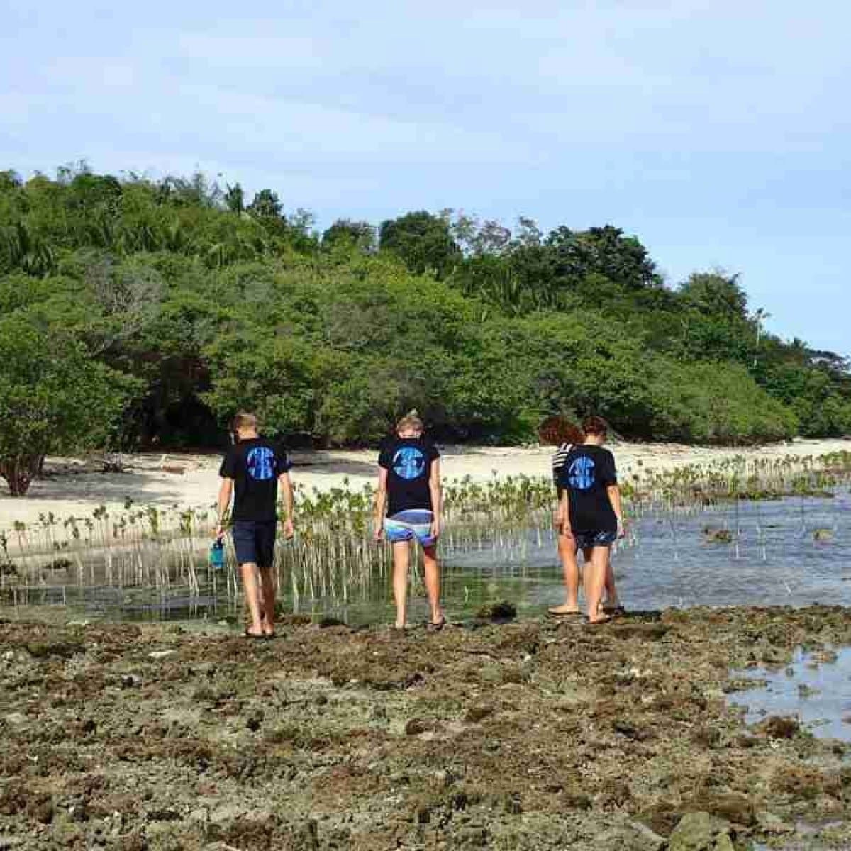 Gallery - Marine Conservation Philippines