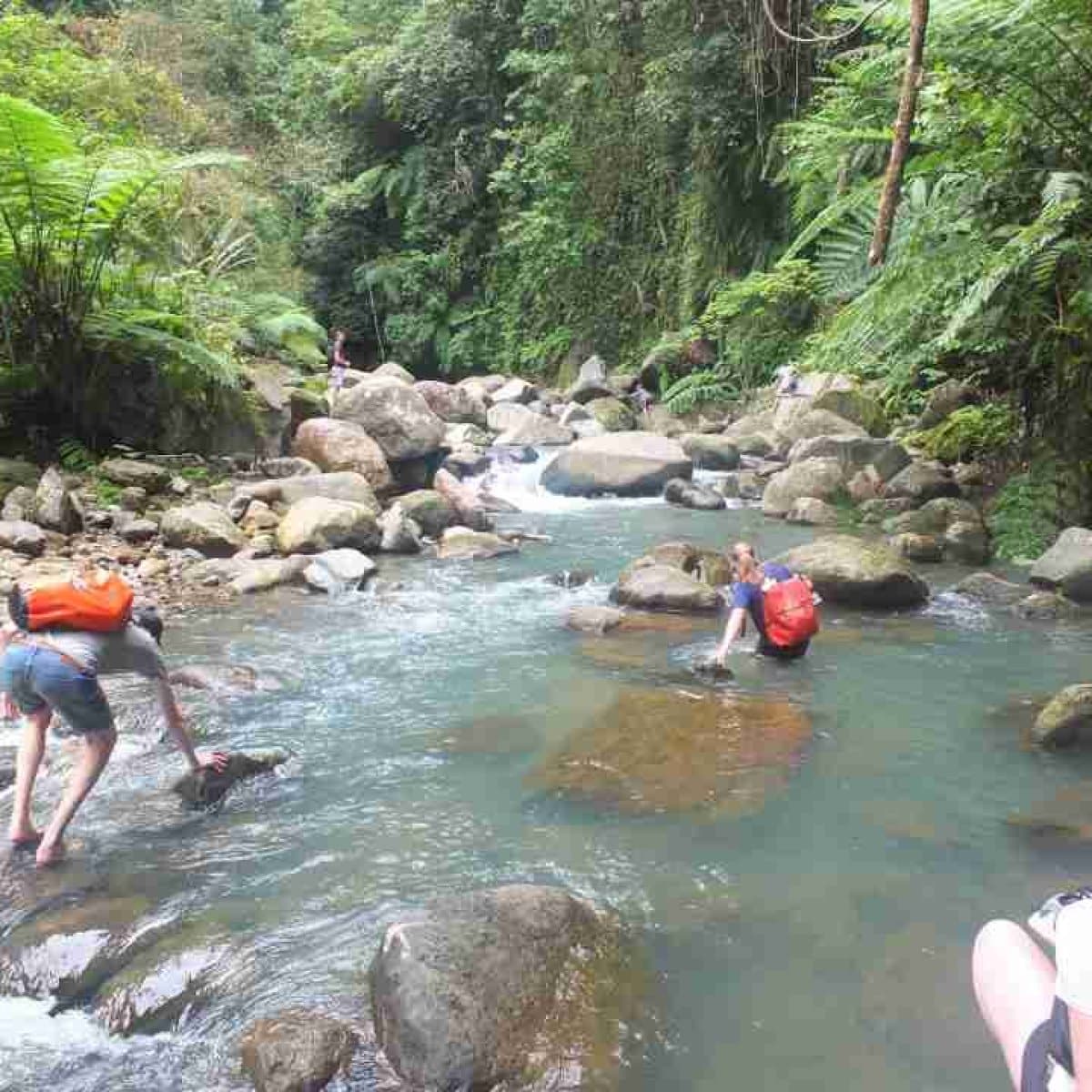 Gallery - Marine Conservation Philippines